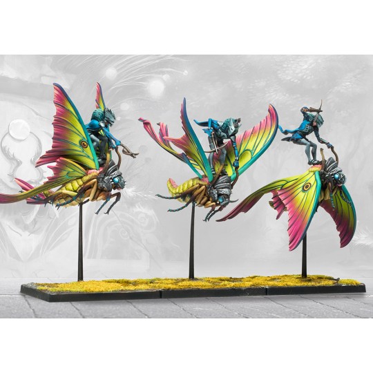 Ciannir Riders