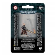 Ministorum Priest with Vindictor